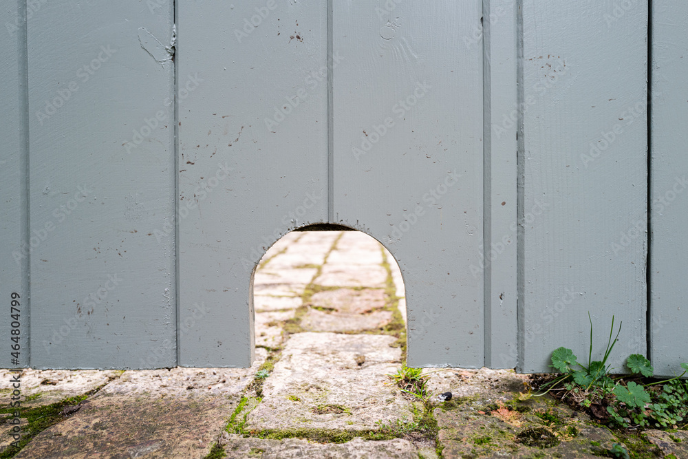 Newly cut small hedgehog entrance hole at the bottom of a garden gate ...