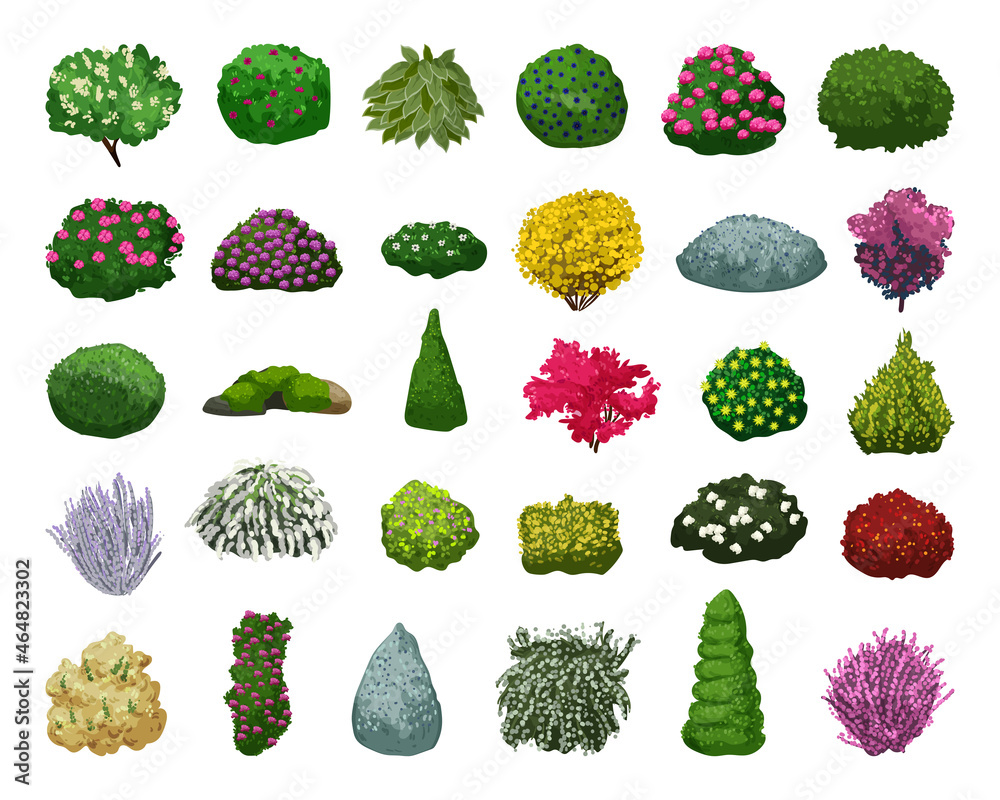 Vector collection of colored detailed bushes. Landscape elements ...