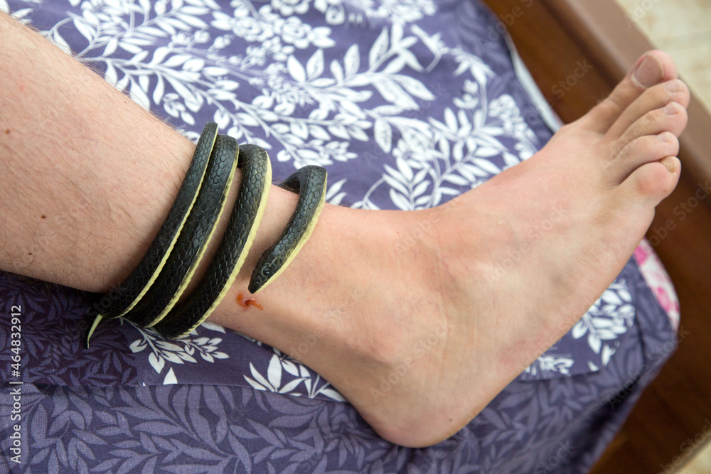 Snake wrapped around a man leg imitation of a snake bite, ketchup ...