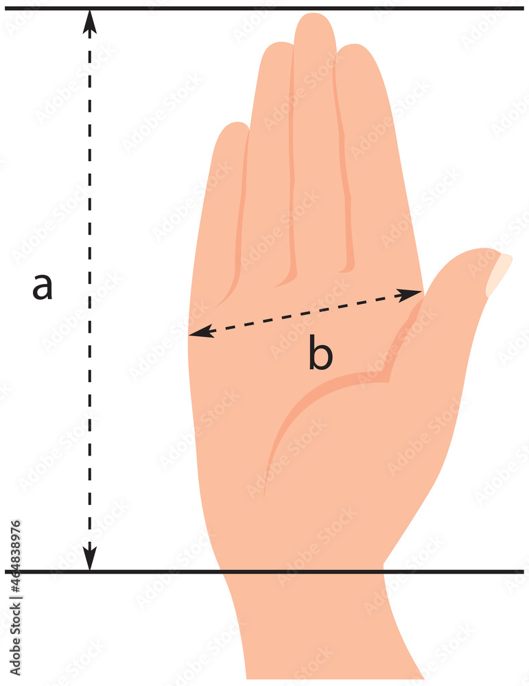 Glove sizing template. Glove Sizing Charts. Template for measuring ...