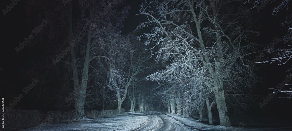 Dark Snowy Landscape