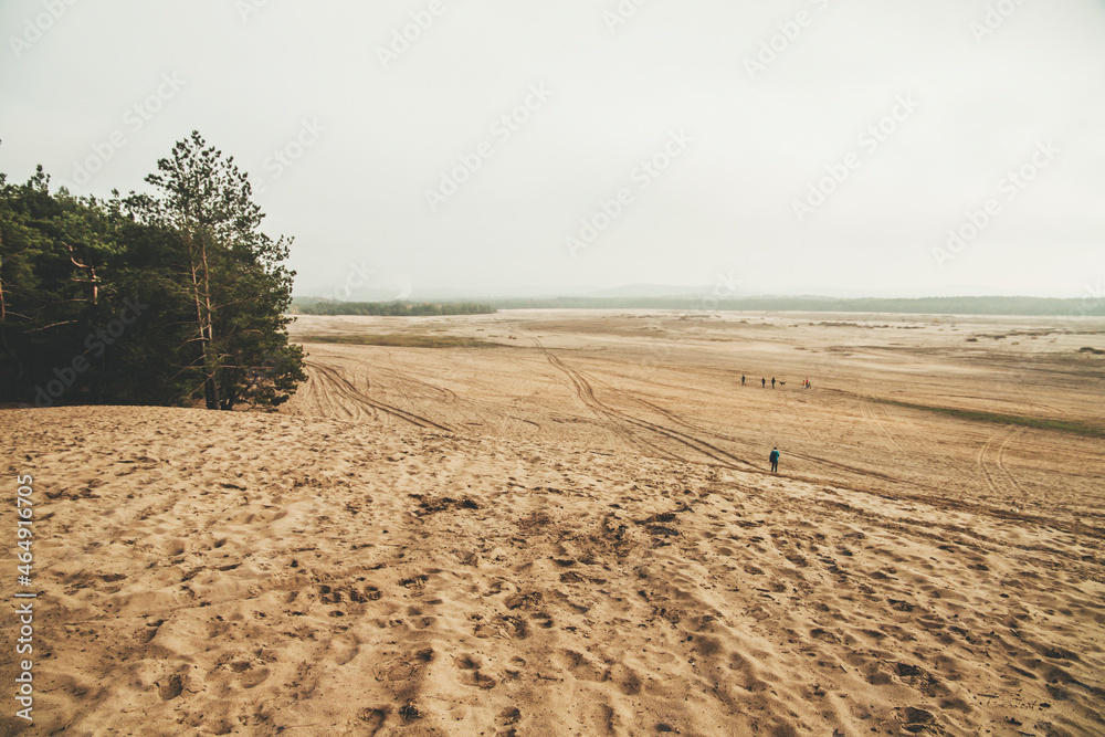 Bledow desert (pustynia bledowska) biggest sand desert in Poland Stock ...