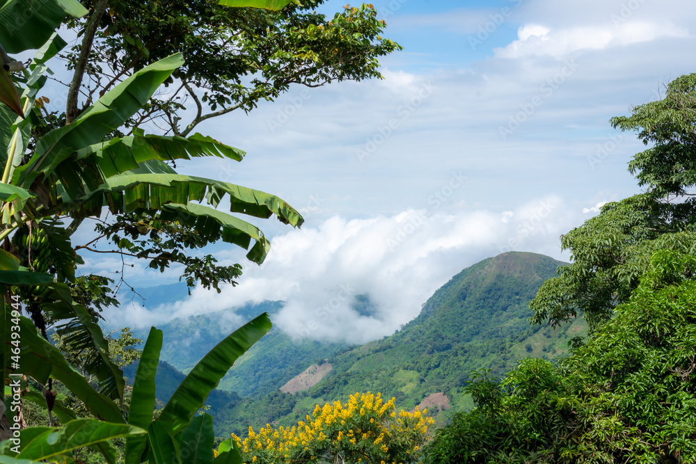 beautiful nature and mountain landscape of the serrania de perija ...