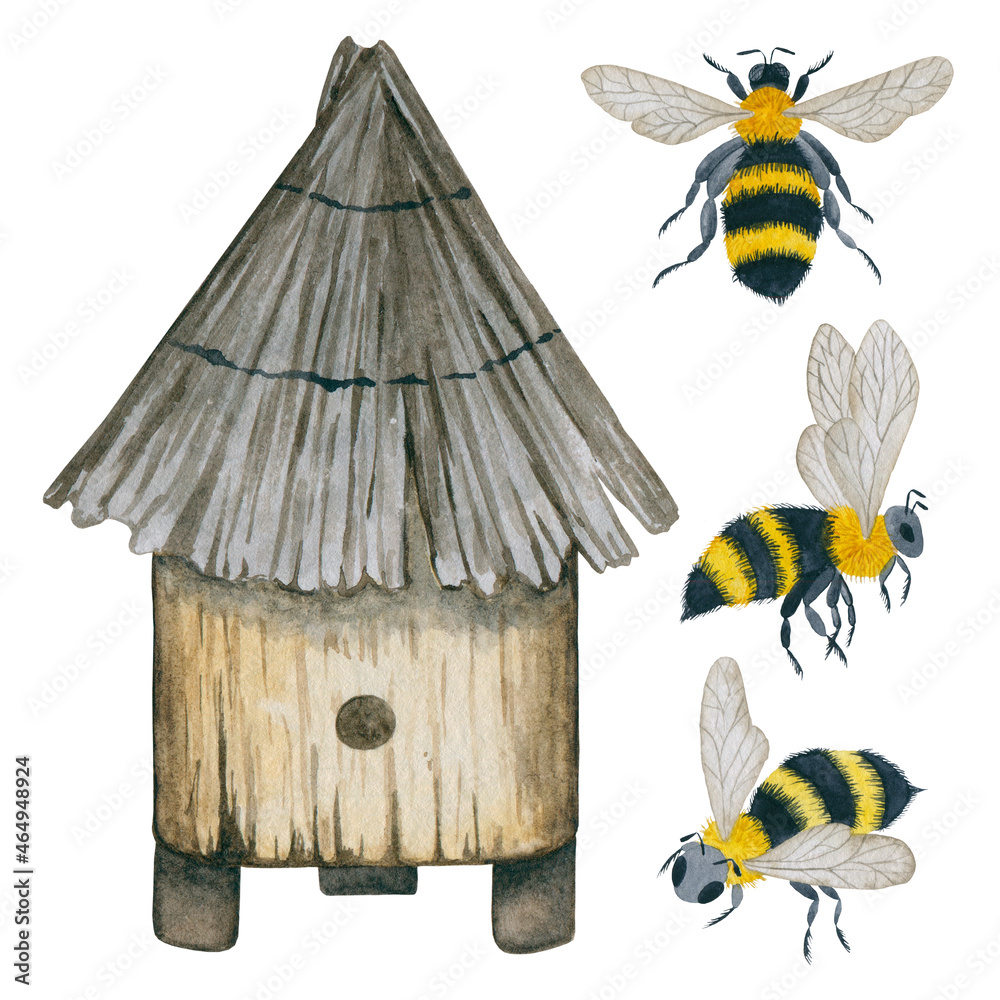 Beehive and bee hand drawn watercolor illustration. Cute clipart ...