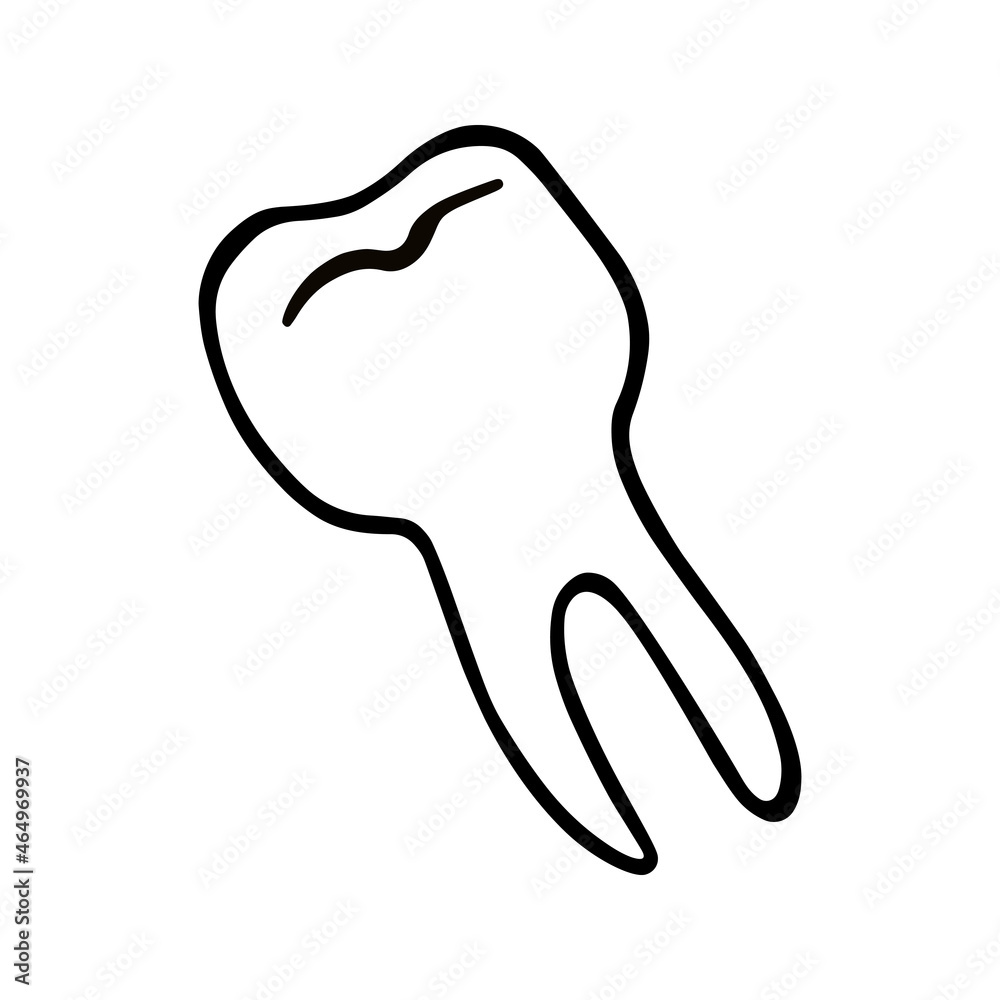 A human tooth with a root. A tooth pulled out. A primitive hand-drawn ...