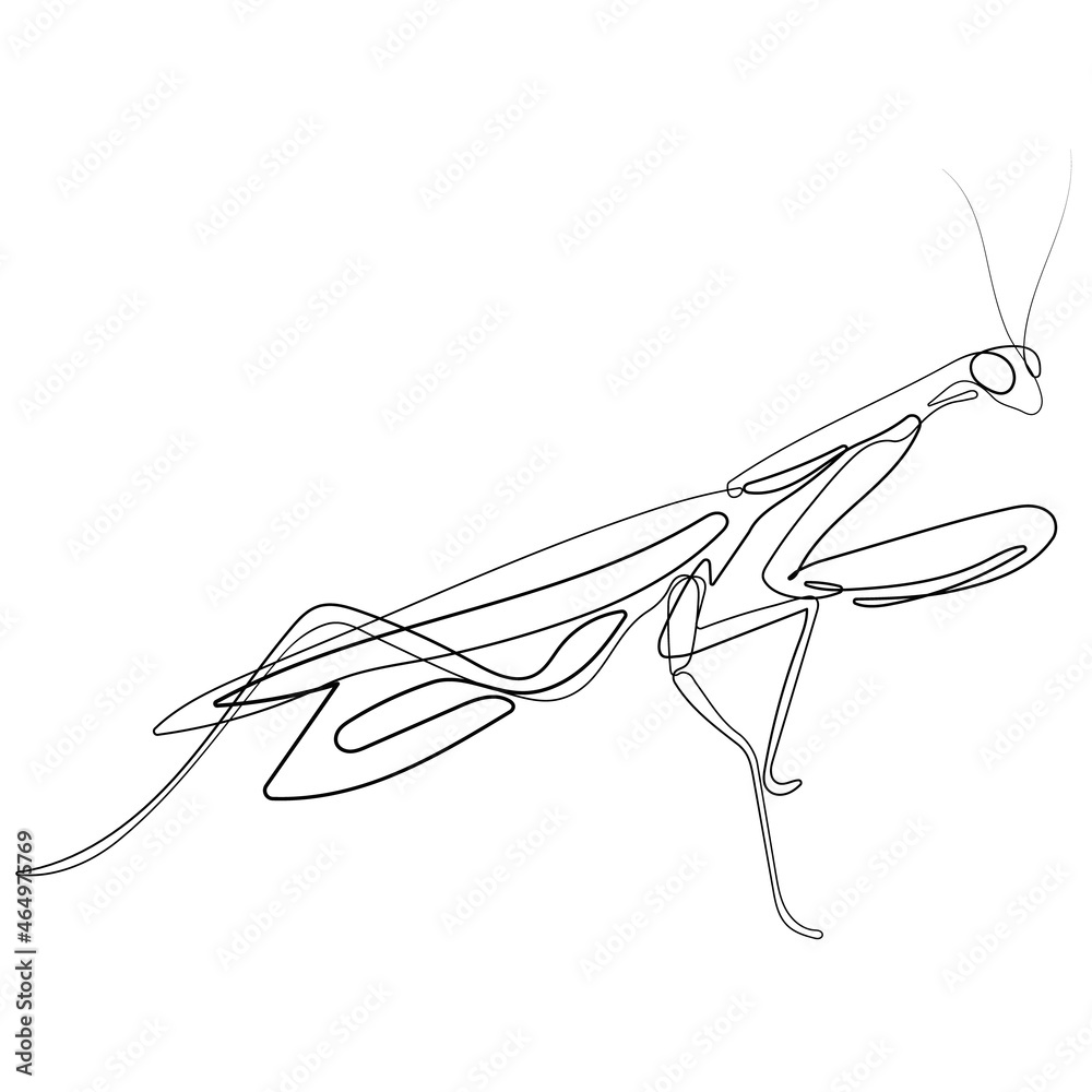 Line art drawing of mantis in vector illustration. Continuous one line ...