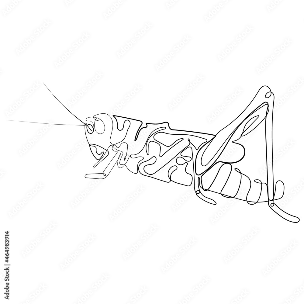 Grasshopper icon in linear style vector illustration. Continuous one ...
