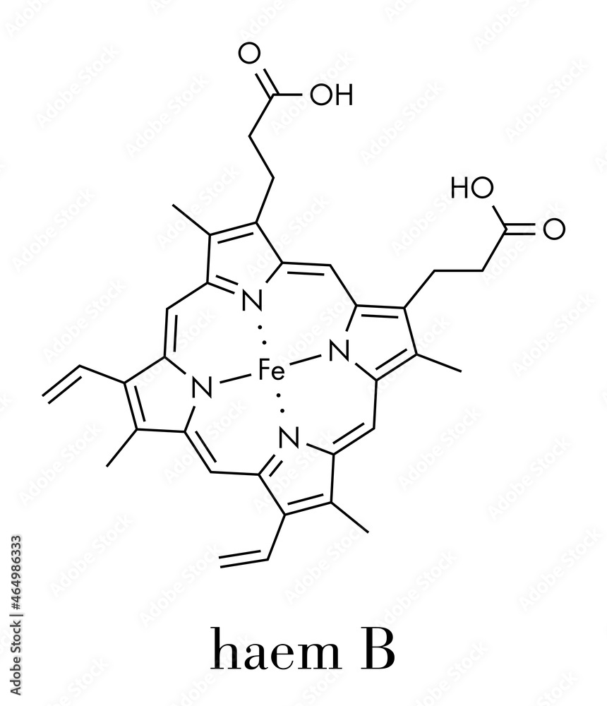 Heme B (haem B) molecule. Heme is an essential component of hemoglobin ...