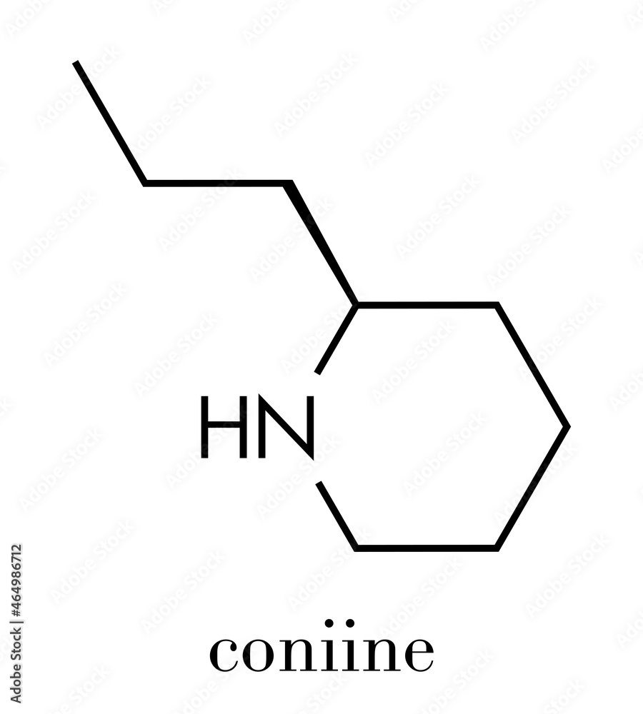 Coniine herbal toxin molecule. Present in poison hemlock (Conium ...