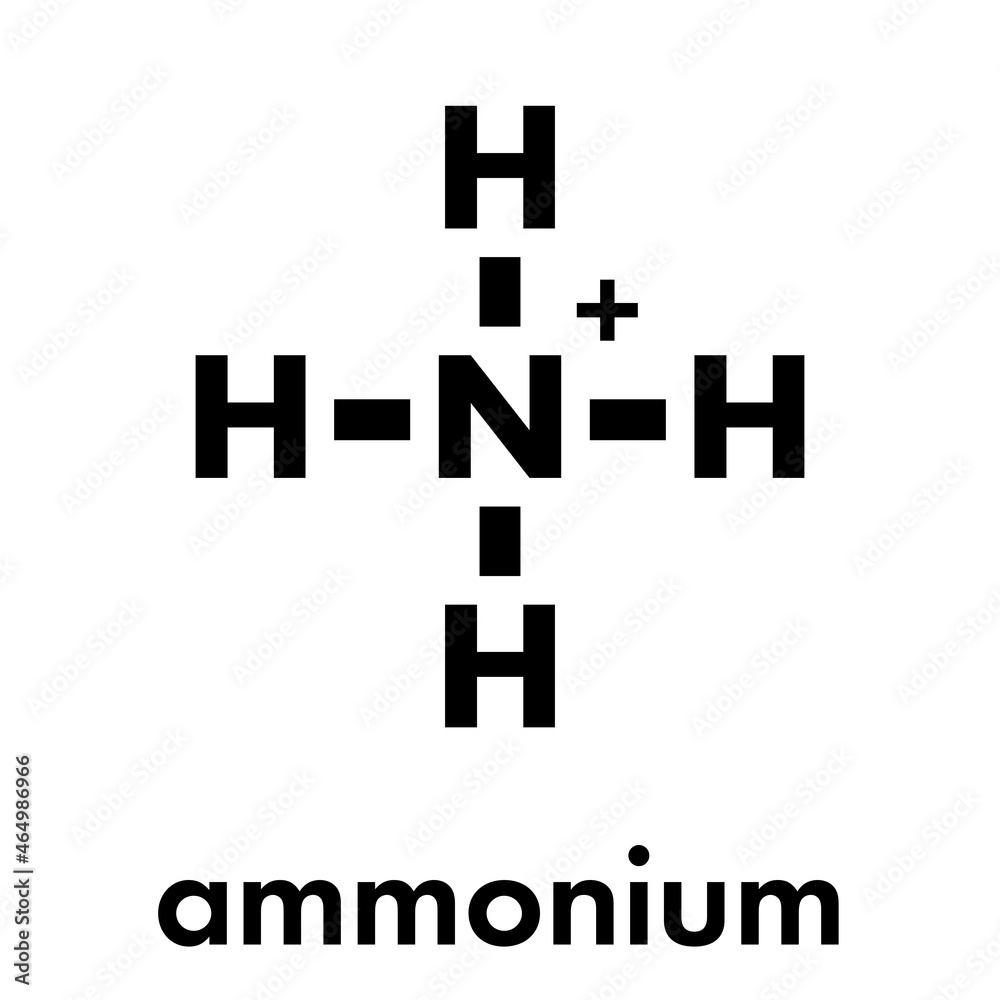 Ammonium cation. Protonated form of ammonia. Skeletal formula. Stock ... Ammonium cation. Protonated form of ammonia. Skeletal formula. Stock ...