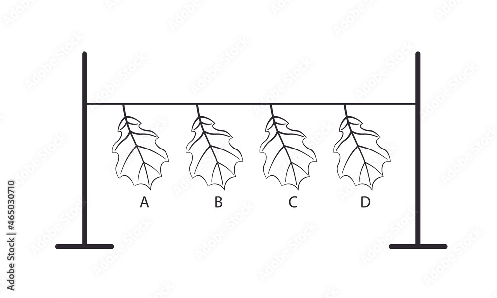 Four leaf experiment worksheet template. Clipart image Stock Vector ...
