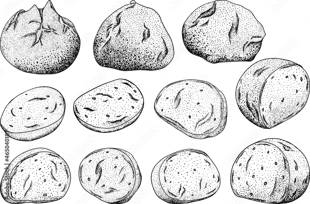 Mozzarella cheese ball, slice and pieces. Hand drawn colored sketch ...