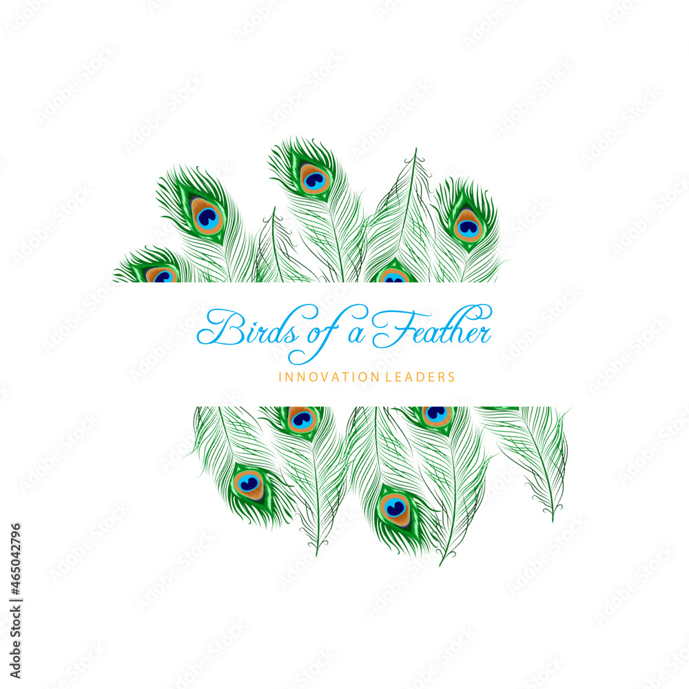 peacock feather illustrator, peacock feather vector, peacock feather ...