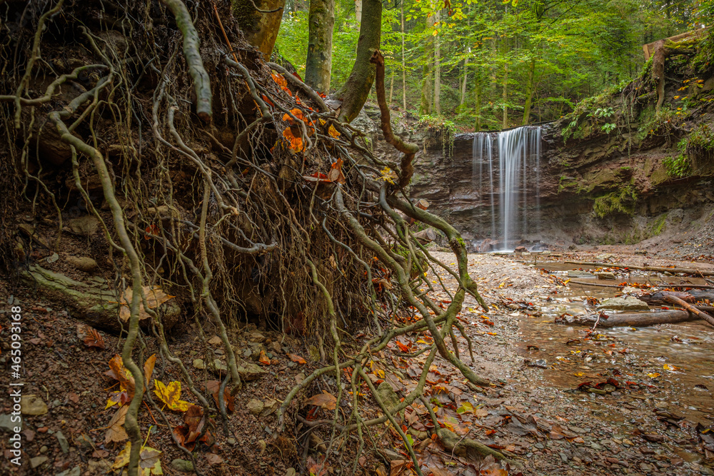 Tree roots in front of a waterfall Stock Photo | Adobe Stock