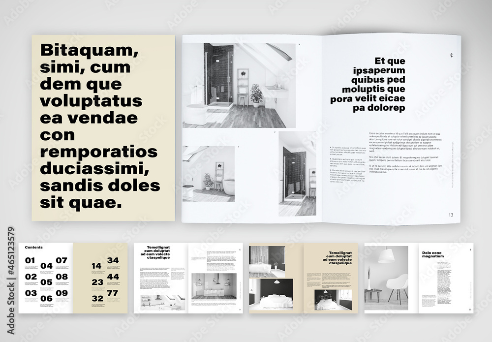 Business Philosophy and Economic Balance Sheet Brochure Stock Template ...