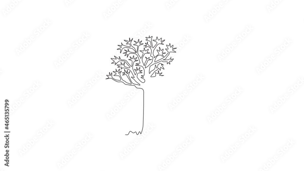 Animation of one line drawing of quiver tree forest. Decorative ...