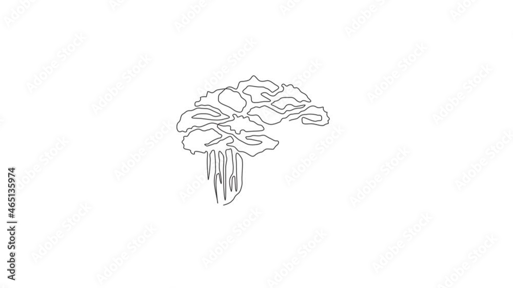 Animated self drawing of continuous line draw shady and leafy banyan ...