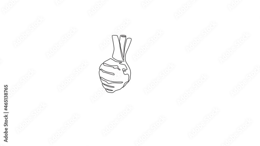 Animated self drawing of single continuous line draw whole healthy ...