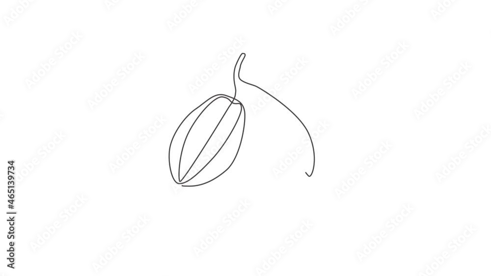 Animation of one single line drawing of whole healthy organic for ...