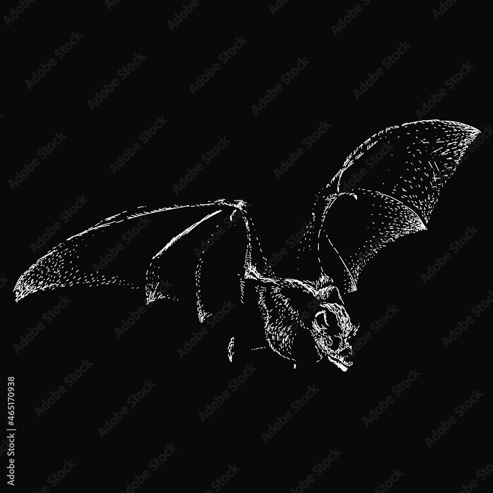 bat vector hand drawing illustration in scratch style. vector isolated ...
