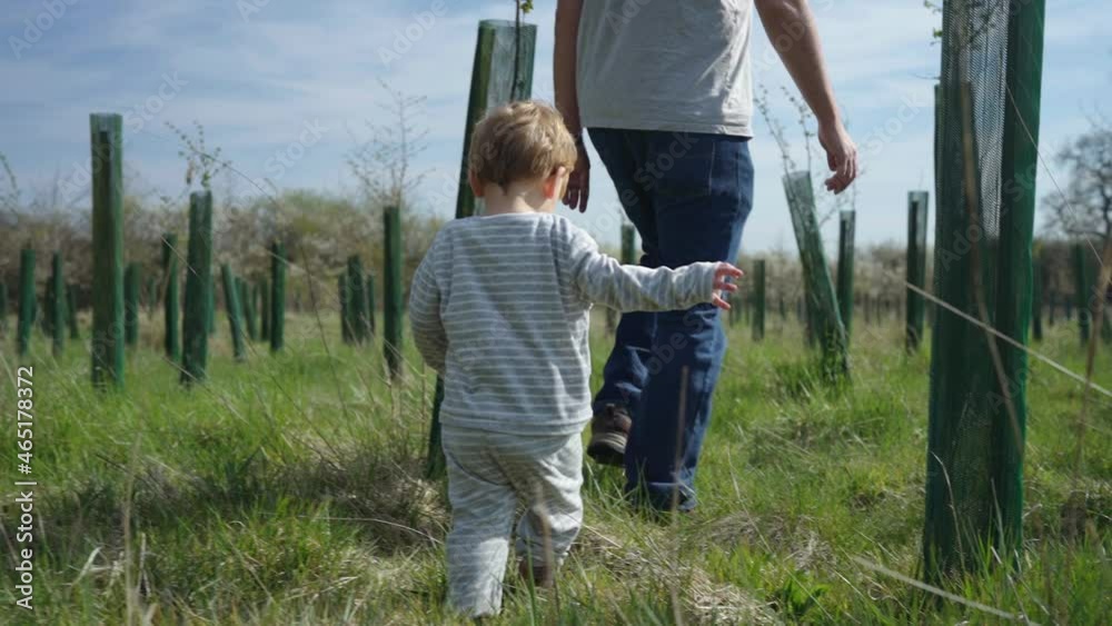 Toddler boy follows dad through field of trees, father walks in front ...