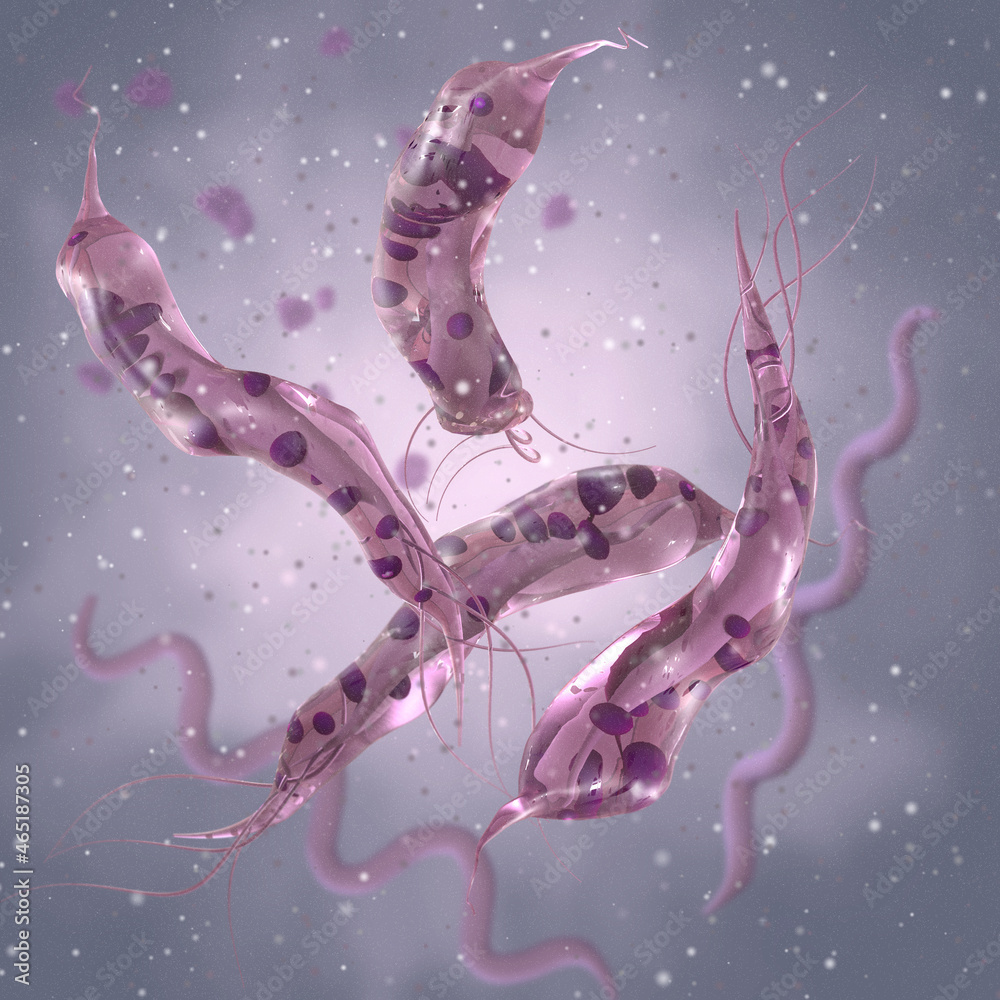 Medical background, bacteria spirilla with flagella, spirally twisted ...
