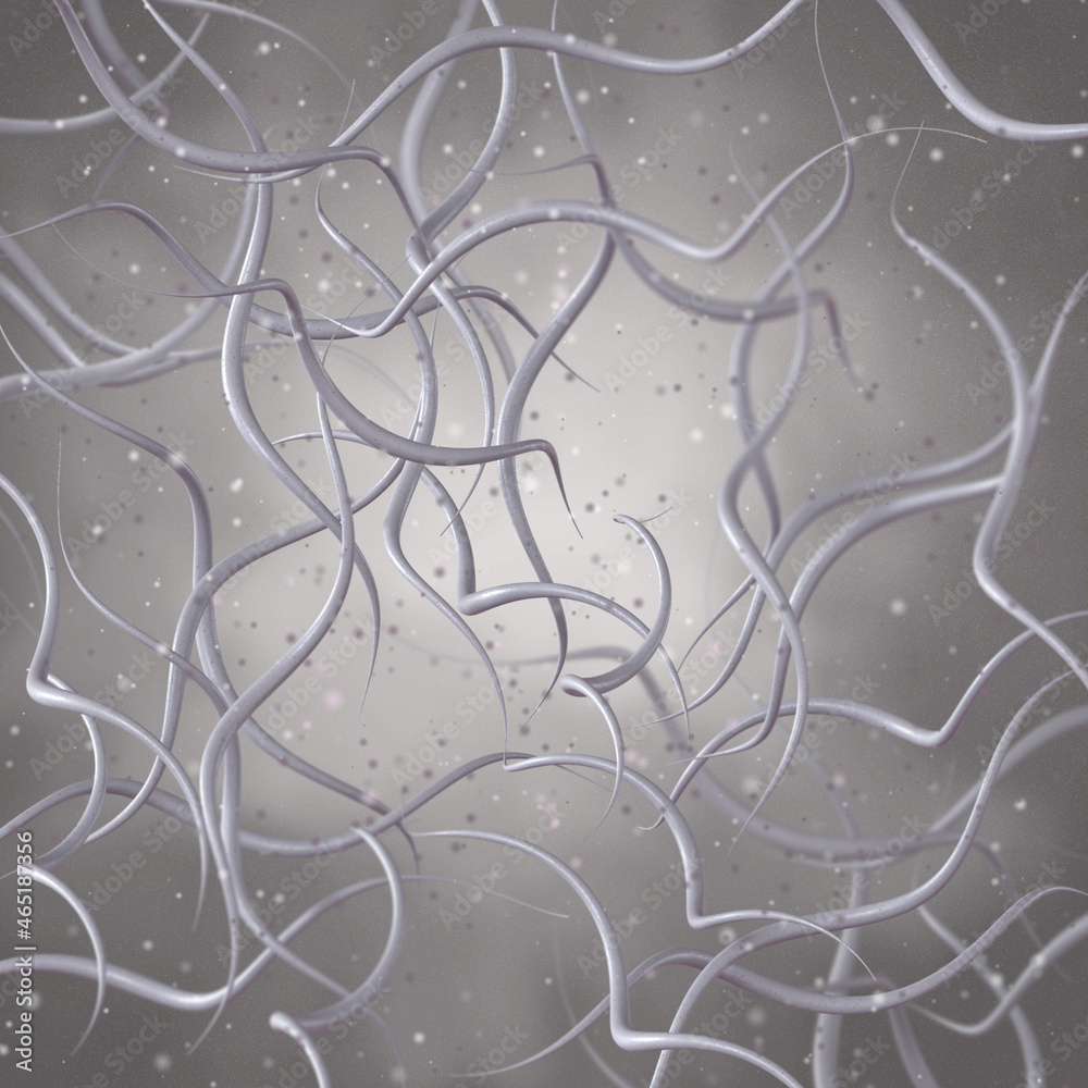 Medical background, bacteria spirilla spirally twisted and arcuate ...