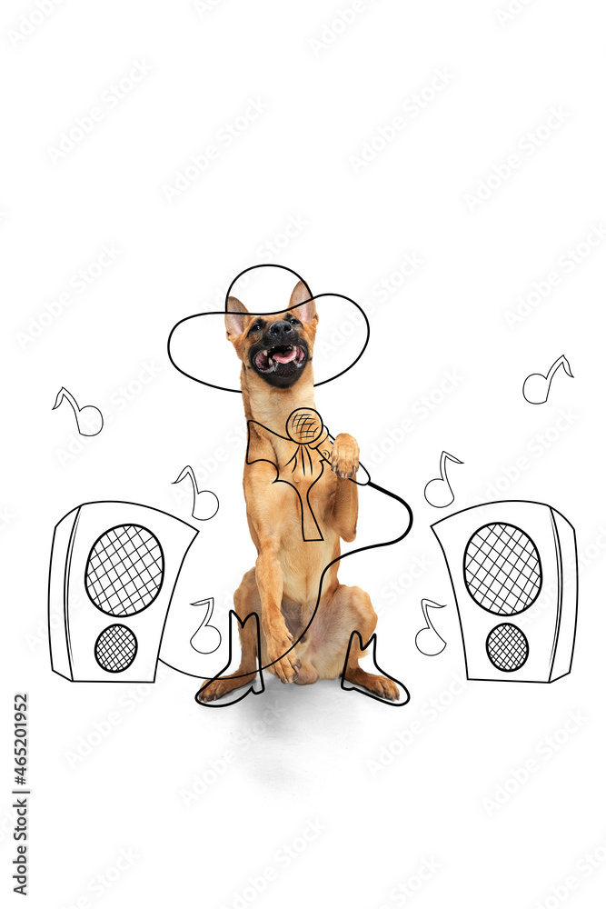 Artwork. One cute breed dog in image of pop singer isolated on white ...