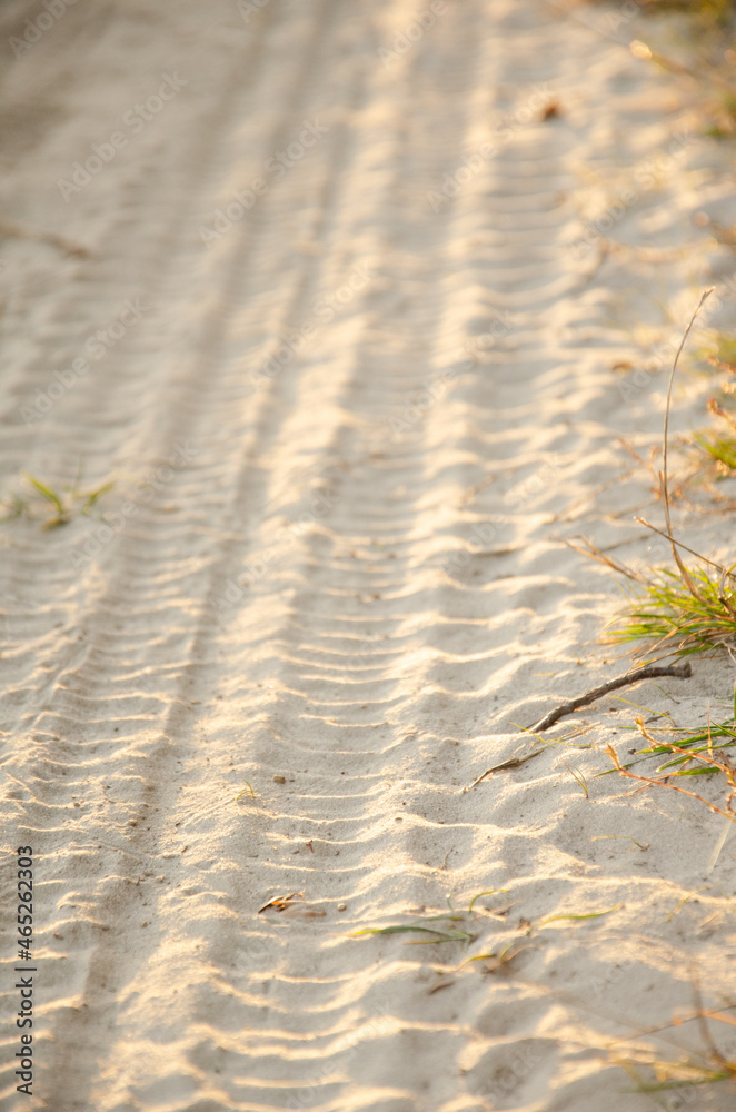 Tire marks on sandy surface with copy space. Green and dry grass grows ...