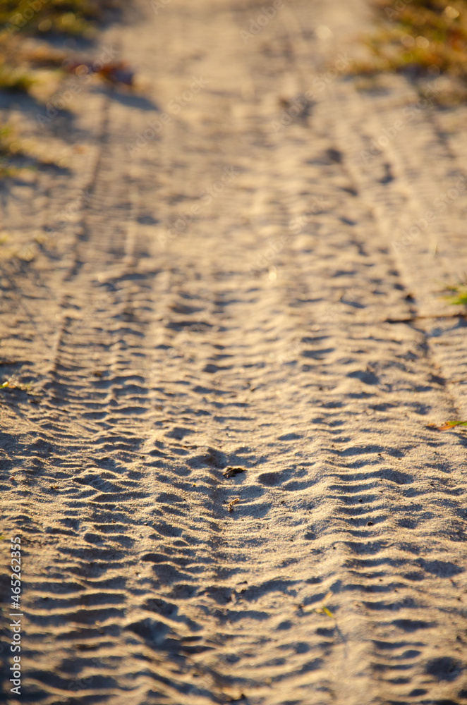 Tire marks on sandy surface with copy space. Green and dry grass grows ...