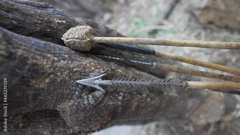 Traditional arrows and weapons for hunted use of an African tribe in ...