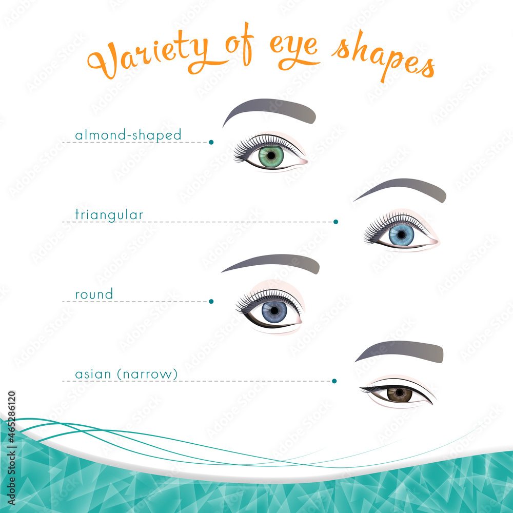 Variety of eye shapes on a white background Stock Illustration | Adobe ...