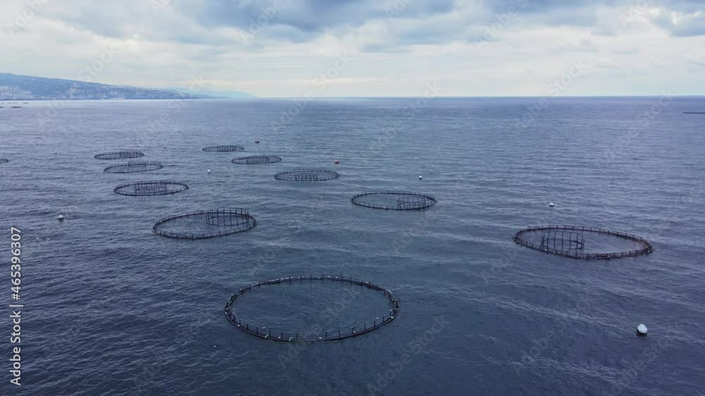 Fish farm with lots of fish enclosures in sea. Fish hatchery aerial ...