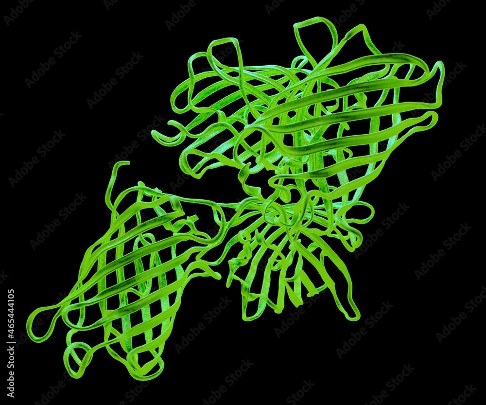 green fluorescent proteins isolated in the black Stock Illustration ...