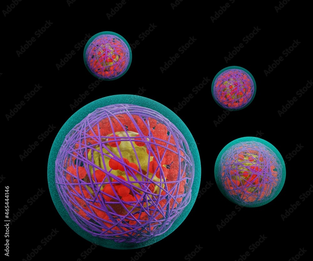 polymeric nanoparticle as a nanocapsule use as imaging agents or for ...