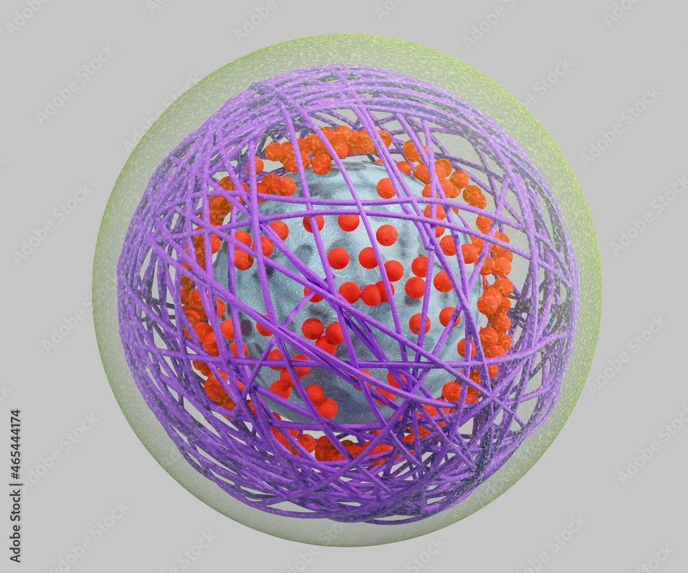 3d polymeric nanoparticle as a nanocapsule use as imaging agents or for ...