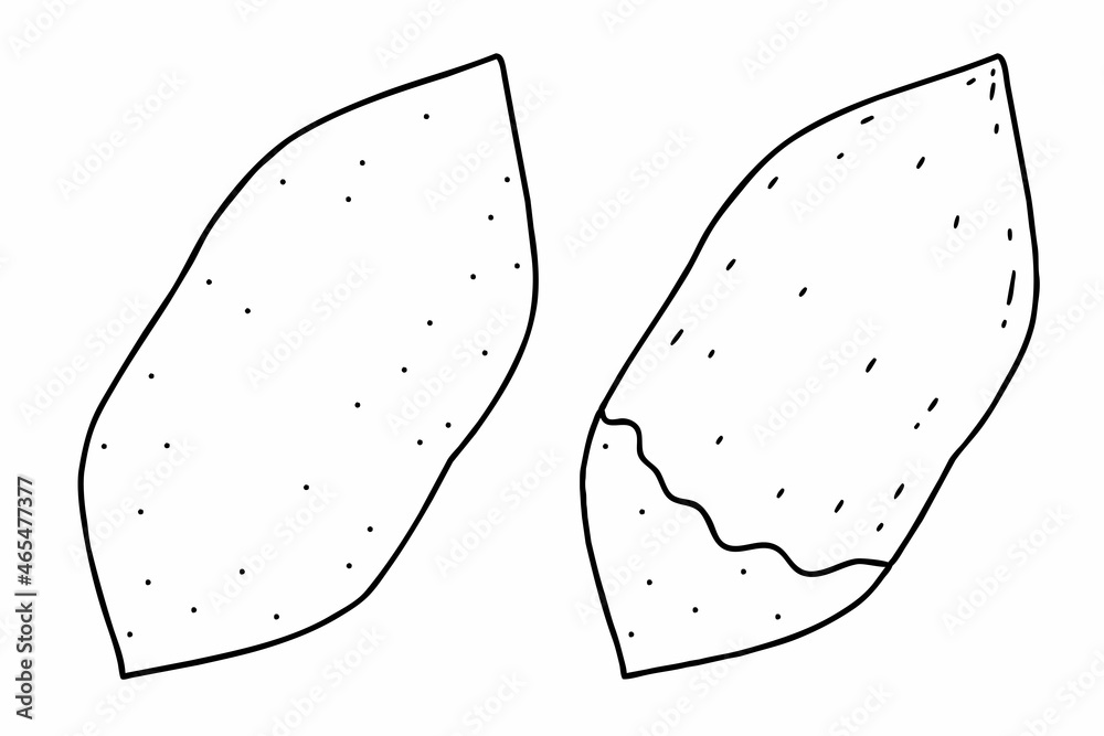 Roasted sweet potato. Vector line art illustrations set. Stock Vector ...