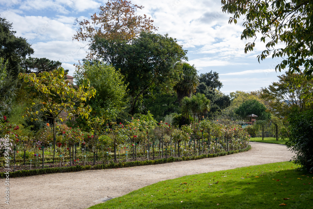 parc du Thabor à Rennes et son jardin botanique Stock Photo | Adobe Stock