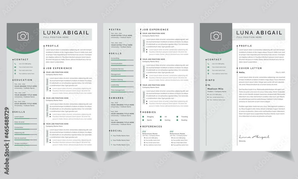 Professional Curriculum Vitae template Two-page Resume Stock Vector ...
