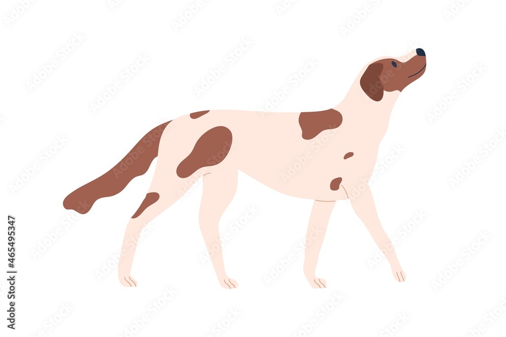 Dog Walking Side View