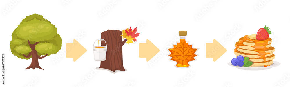 Vector cartoon illustration of producing maple syrup. Stock Vector ...