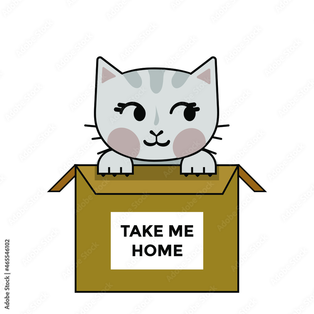 cute cat in a box, take me home, vector illustration Stock Vector ...