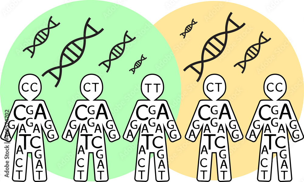 Illustration of human population carrying DNA - population genetics and ...
