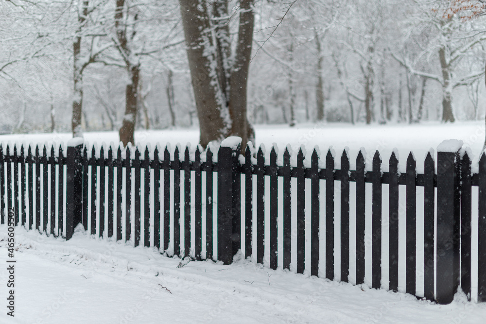 Foto de A dark wood picket fence separating a road and field covered in ...