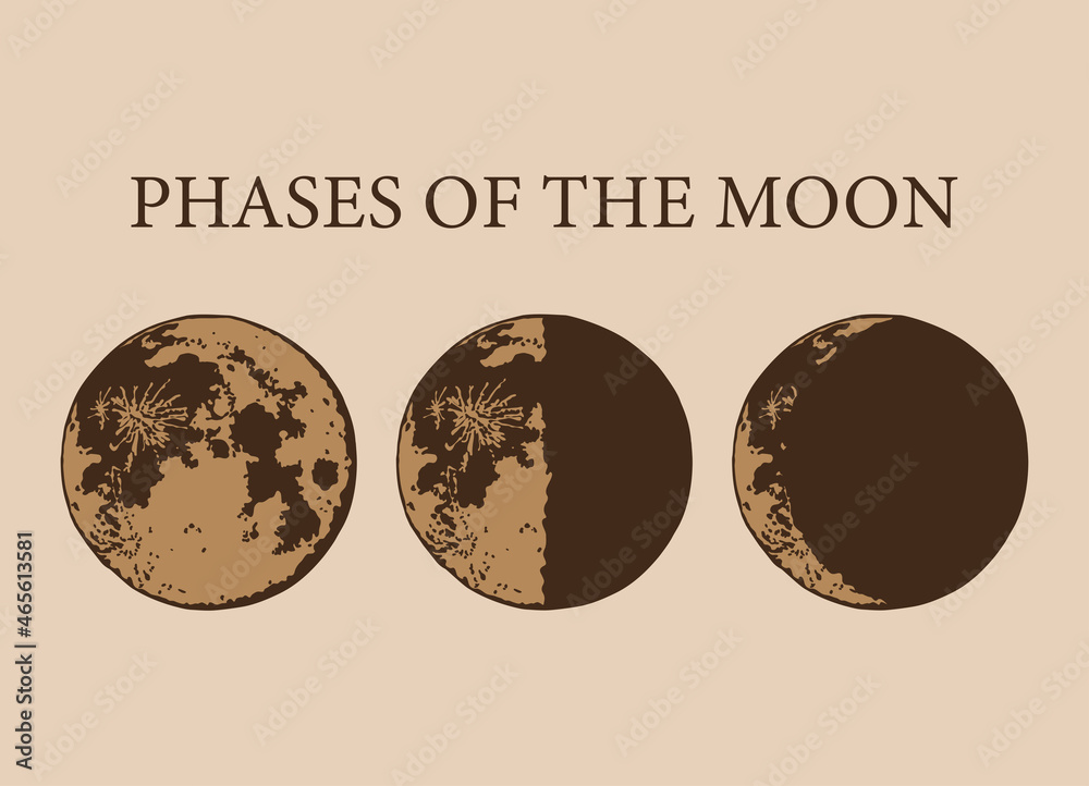 The Moon, Moon Phases in modern colors, contemporary aesthetic poster ...