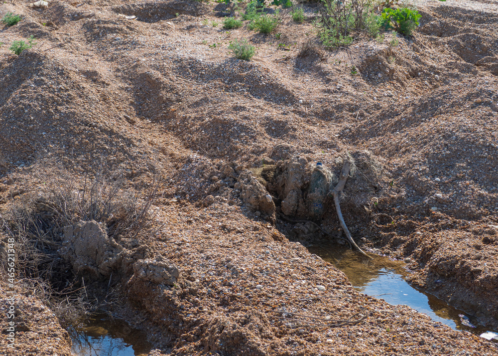 Puddles of water on the sand. The concept of drinking water shortage ...