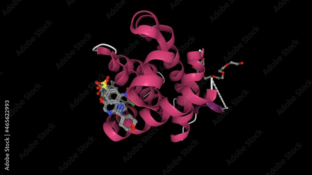 Crystal structure of BCL-2 complexed with venetoclax. Animated 3D ...