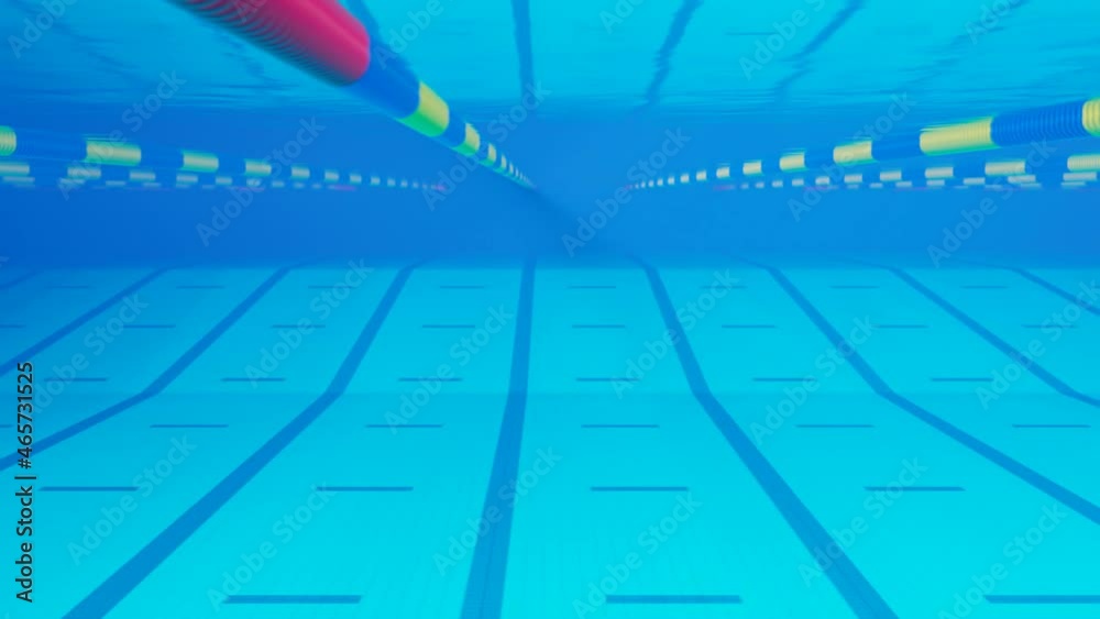 Looping animation of swimming in the Olympic swimming pool. Underwater ...