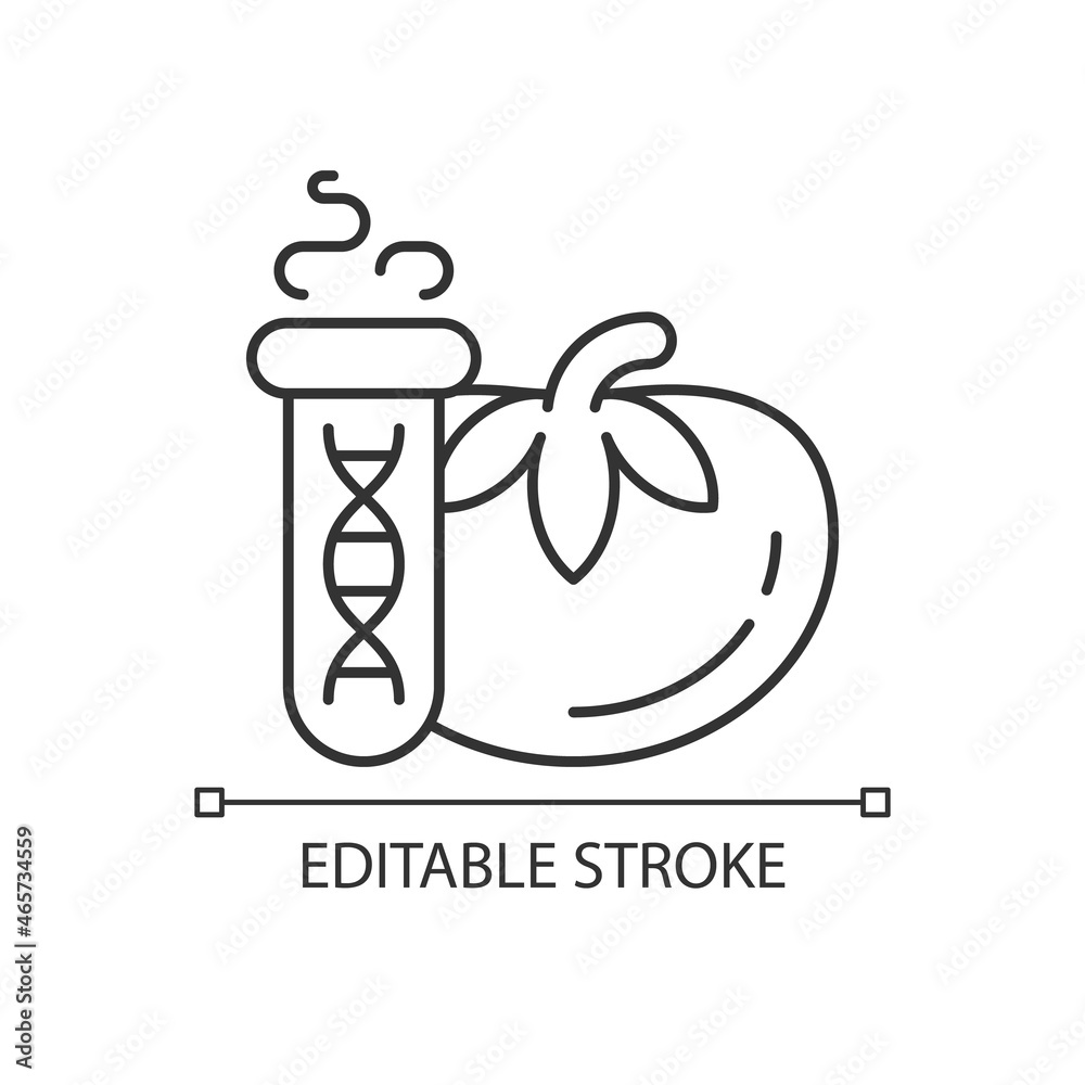 GMO testing linear icon. Food genetic modification detection. DNA and ...