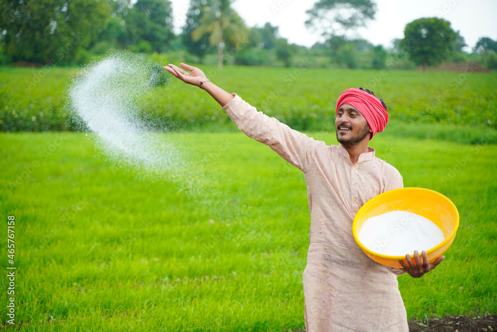 Indian farmer spreading fertilizer in the agriculture field. Stock ...